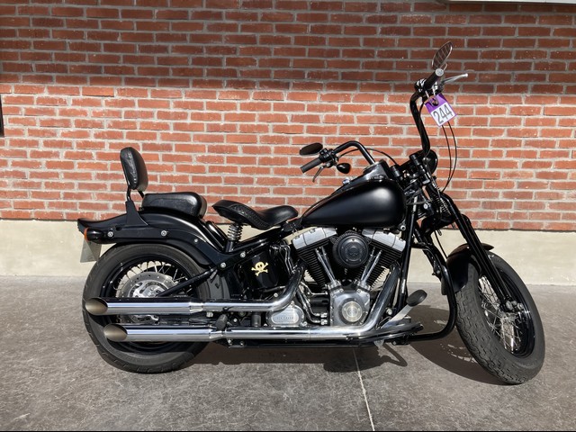 HARLEY-DAVIDSON 1584 SOFTAIL SPRINGER CROSS BONES